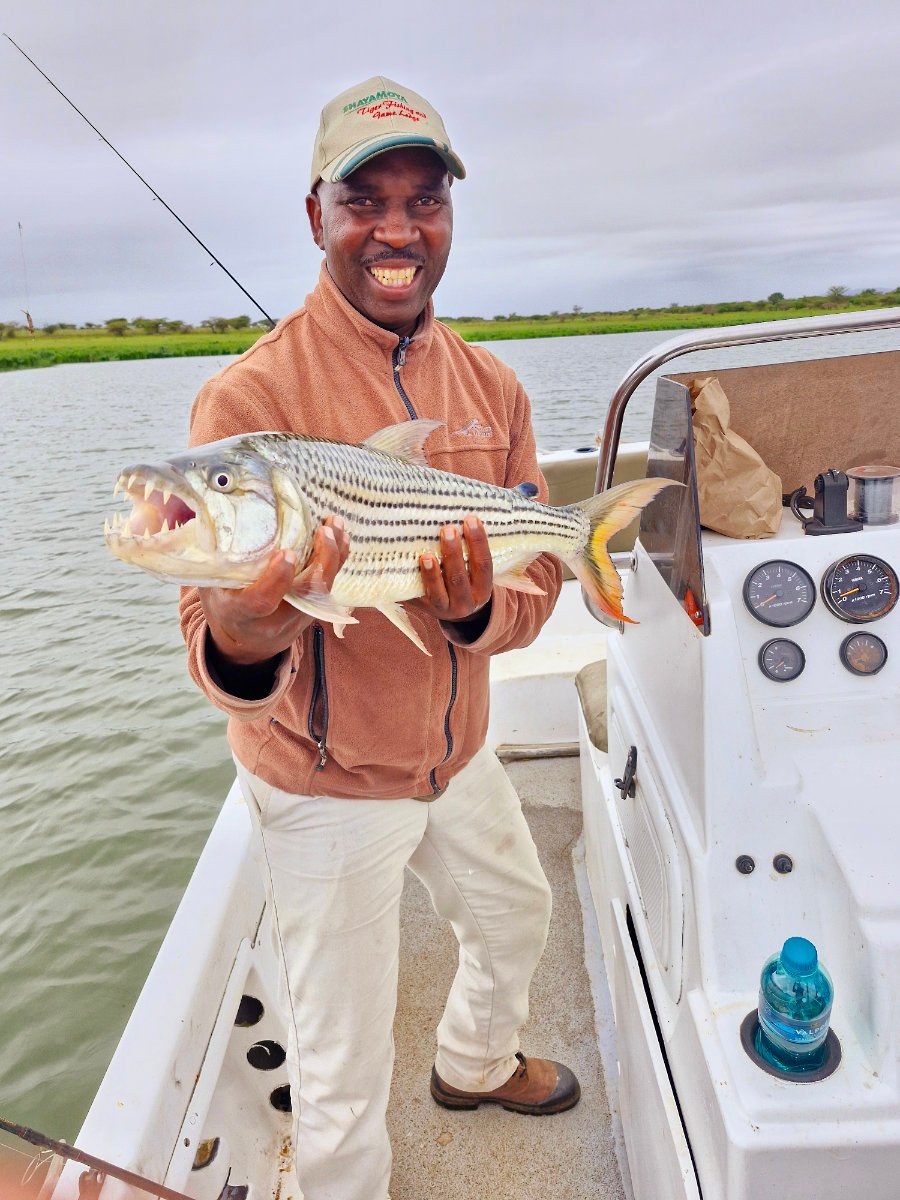 Tiger Fishing Adventures at Shayamoya Tiger Fishing and Game Lodge ...